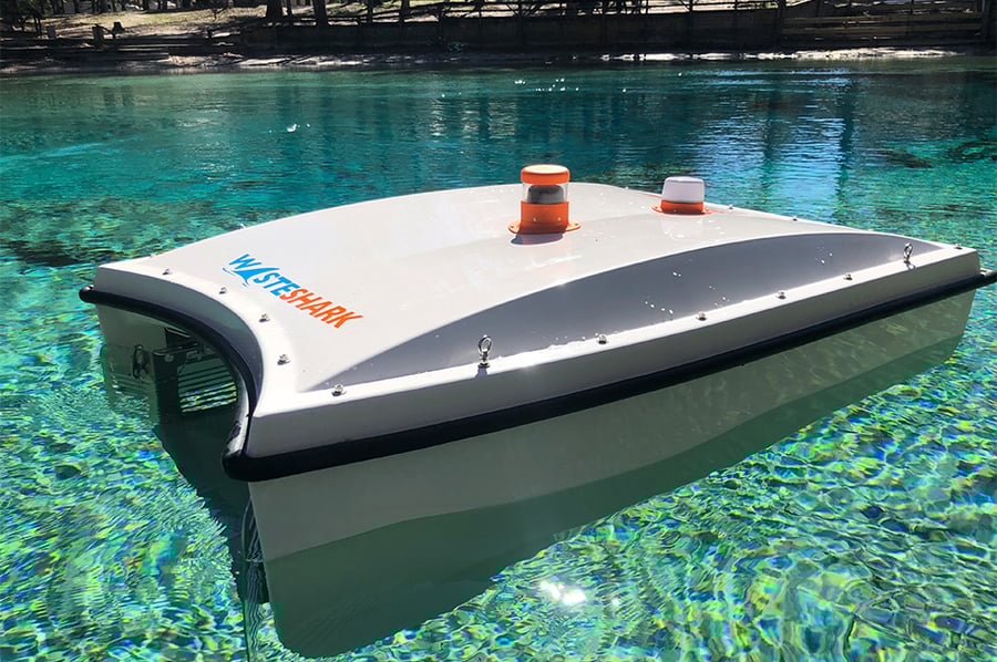 Shark in the Ship Channel